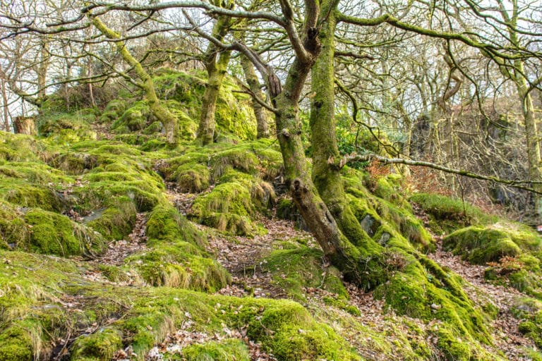 A Welsh Bucket List: What to do in Wales, U.K. - The Road Les Traveled
