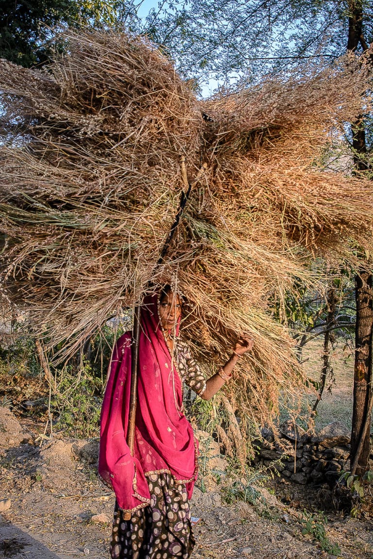 Faces of India: A Photo Diary - The Road Les Traveled